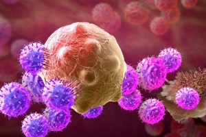 Magneto-aerotactic bacteria deliver drug-containing nanoliposomes to ...